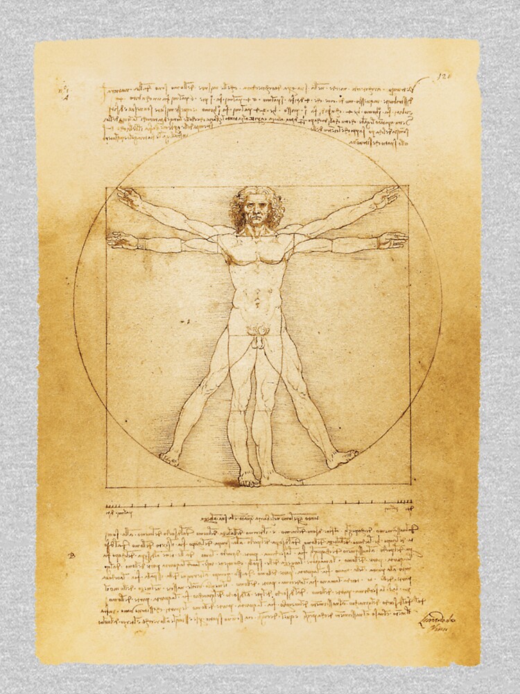 "Leonardo da Vinci Vintage sketch The Vitruvian Man The proportions of ...