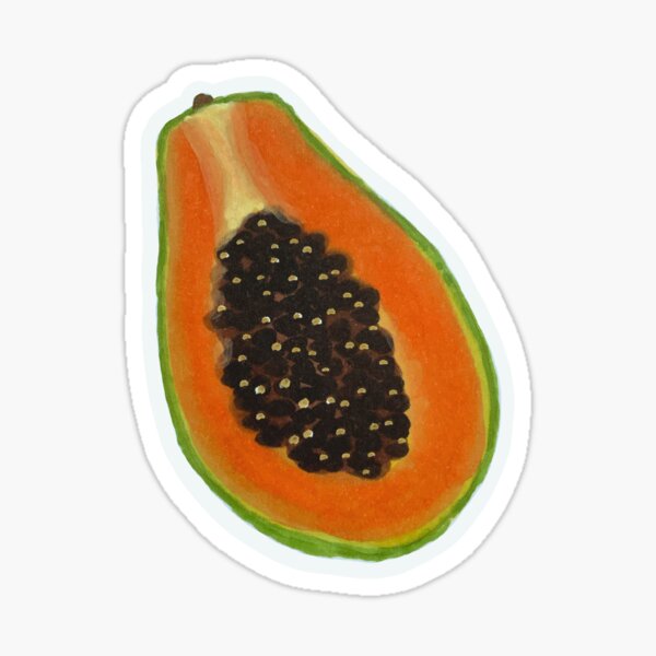 "Papaya Sticker" Sticker for Sale by LexThePex | Redbubble