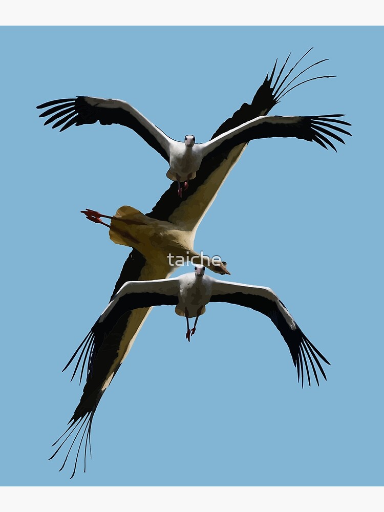 "Stork Aerodynamics - Flying Poses Vector Art" Poster for Sale by ...