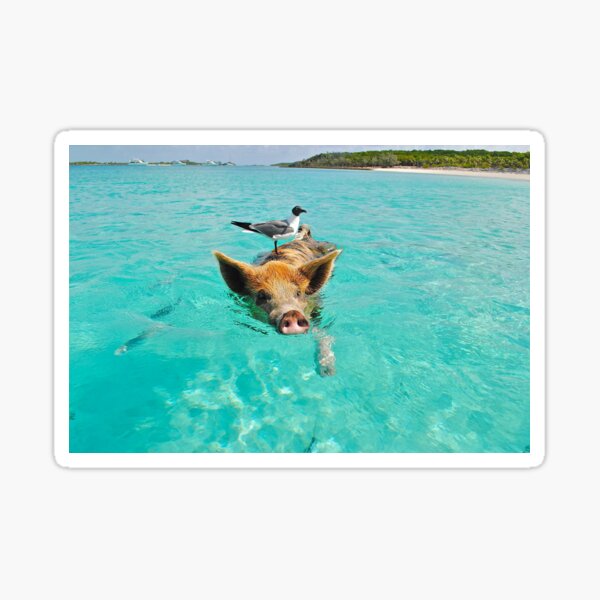 "Just Along For The Ride" Sticker for Sale by Beach-Designs | Redbubble