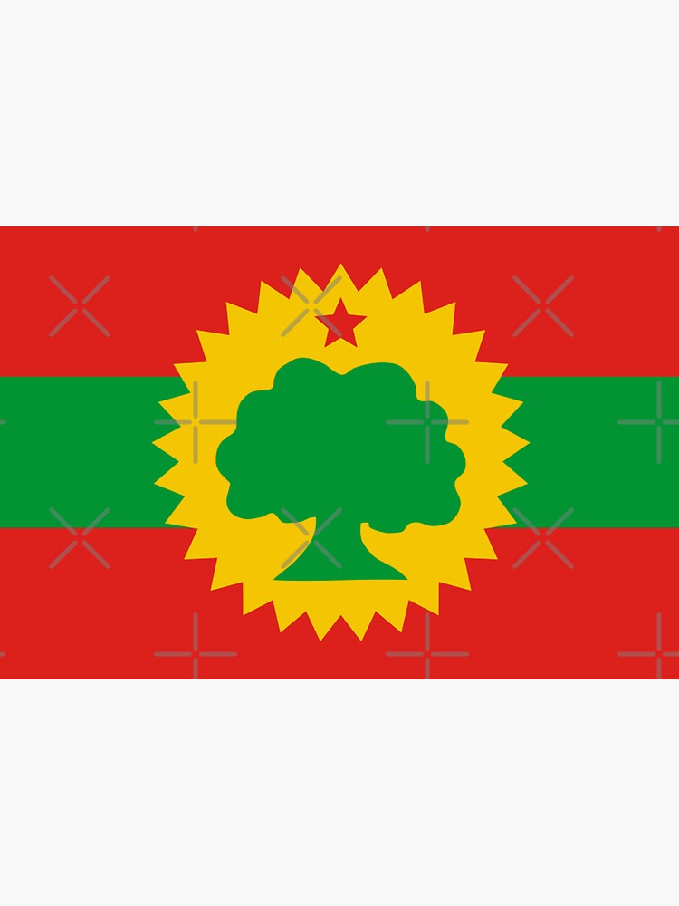 "oneg shene flag" Sticker by Ermiyas | Redbubble