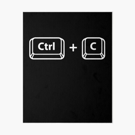 "Ctrl C Ctrl V Copy Paste Twins Matching Designe cut funny humor ...