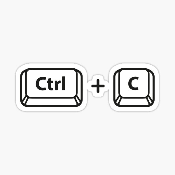 "Ctrl C Ctrl V Copy Paste Twins Matching Designe cut funny humor ...