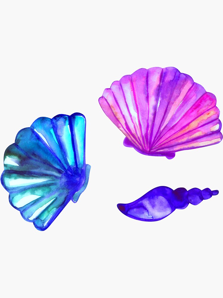"Seashell vibrant color pack" Sticker for Sale by Syry005 | Redbubble