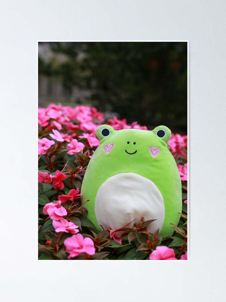 "Squishmallow Philippe the Frog Photo" Poster for Sale by sapphicsquish ...