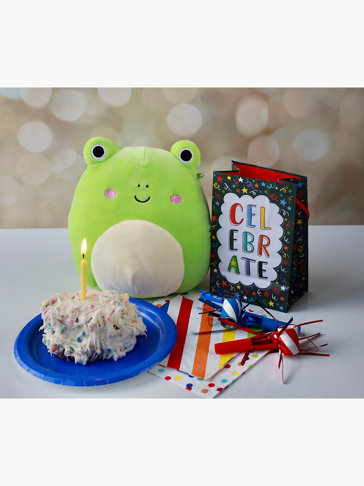 "Squishmallow Birthday Frog Photo" Sticker for Sale by sapphicsquish ...