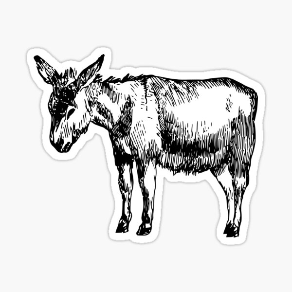 "Donkey" Sticker for Sale by hrcdesign | Redbubble