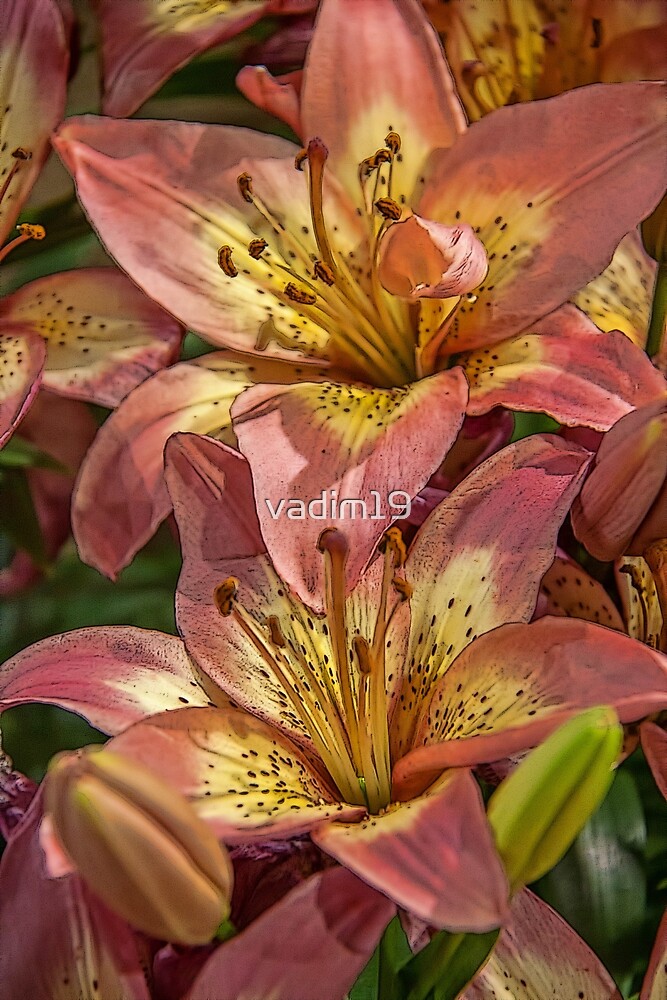 "USA. Pennsylvania. Philadelphia Flower Show 2017. Lilies." by vadim19 ...