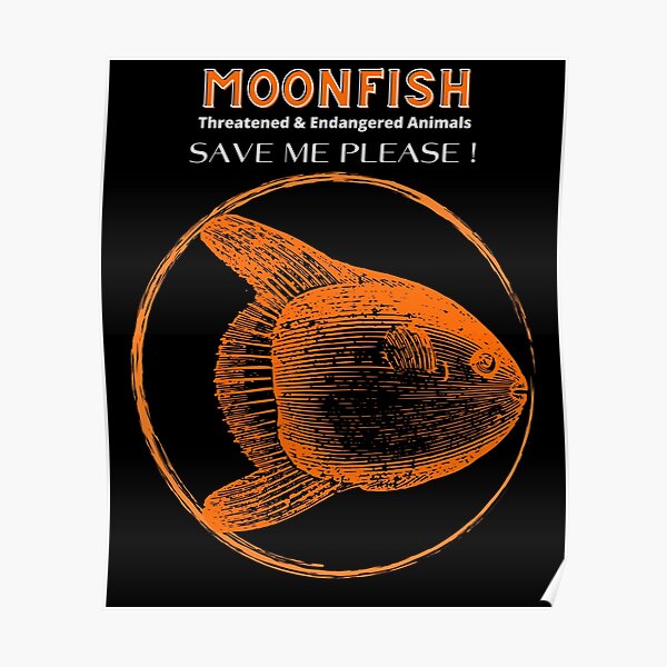 "Moonfish" Poster for Sale by yassooarts | Redbubble