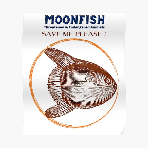 "Moonfish" Poster for Sale by yassooarts | Redbubble