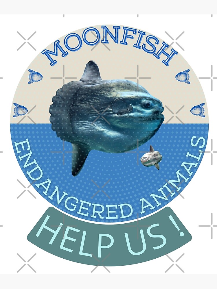 " Moonfish" Poster for Sale by yassooarts | Redbubble