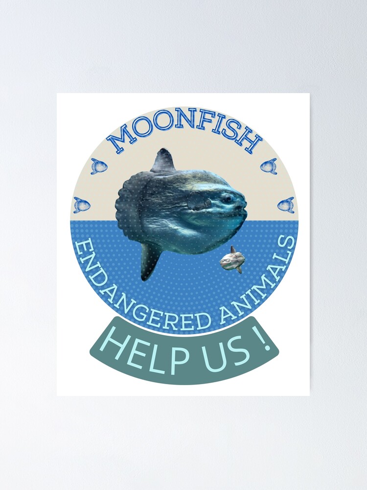 " Moonfish" Poster for Sale by yassooarts | Redbubble
