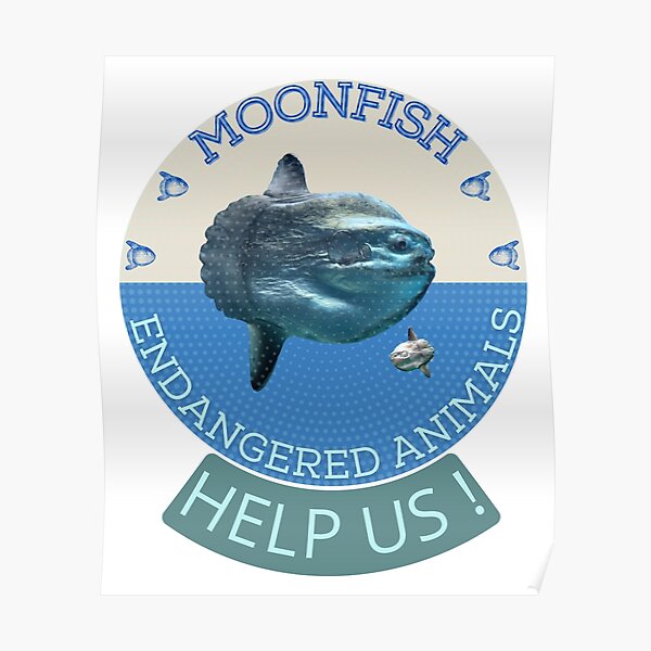 " Moonfish" Poster for Sale by yassooarts | Redbubble