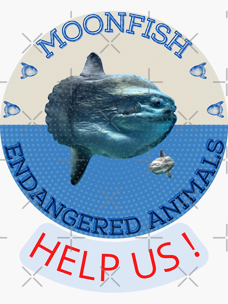 " Moonfish" Sticker for Sale by yassooarts | Redbubble