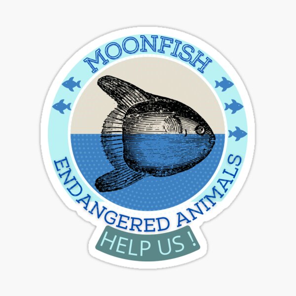 " Moonfish" Sticker for Sale by yassooarts | Redbubble