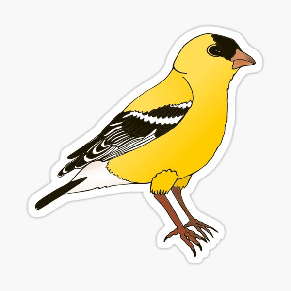 "American Goldfinch" Sticker for Sale by CreativeCorvid | Redbubble
