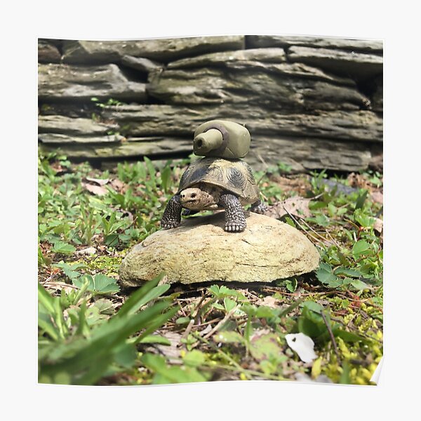 ""Frank The Tank" The War Turtle In The Field" Poster for Sale by The ...