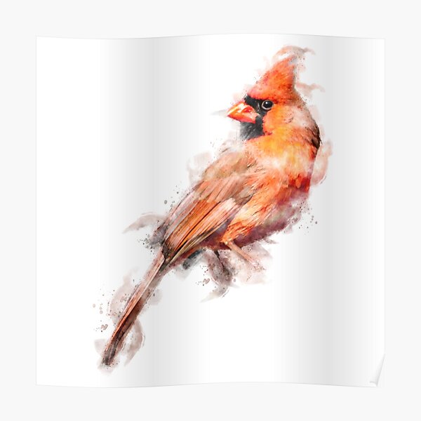 "Northern Cardinal Watercolour Artwork " Poster for Sale by Typeglyphs ...