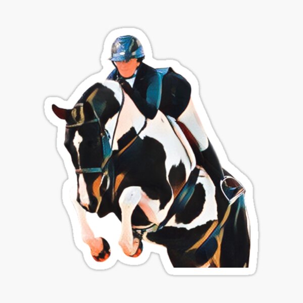 "Pinto Hunter" Sticker for Sale by margothirsch | Redbubble