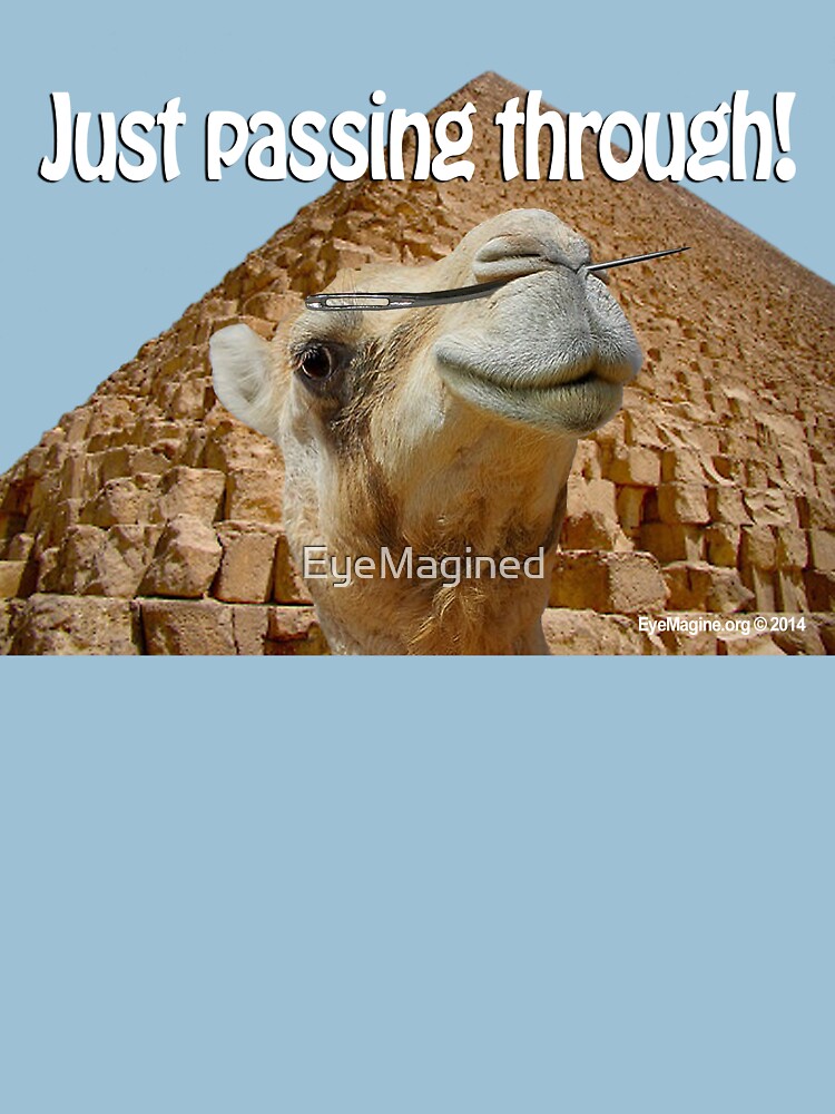 "Just Passing Through" T-shirt for Sale by EyeMagined | Redbubble ...