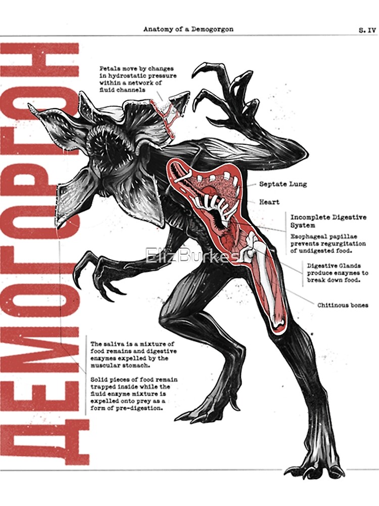 "Anatomy Of A Demogorgon" Poster for Sale by ElizBurkes | Redbubble