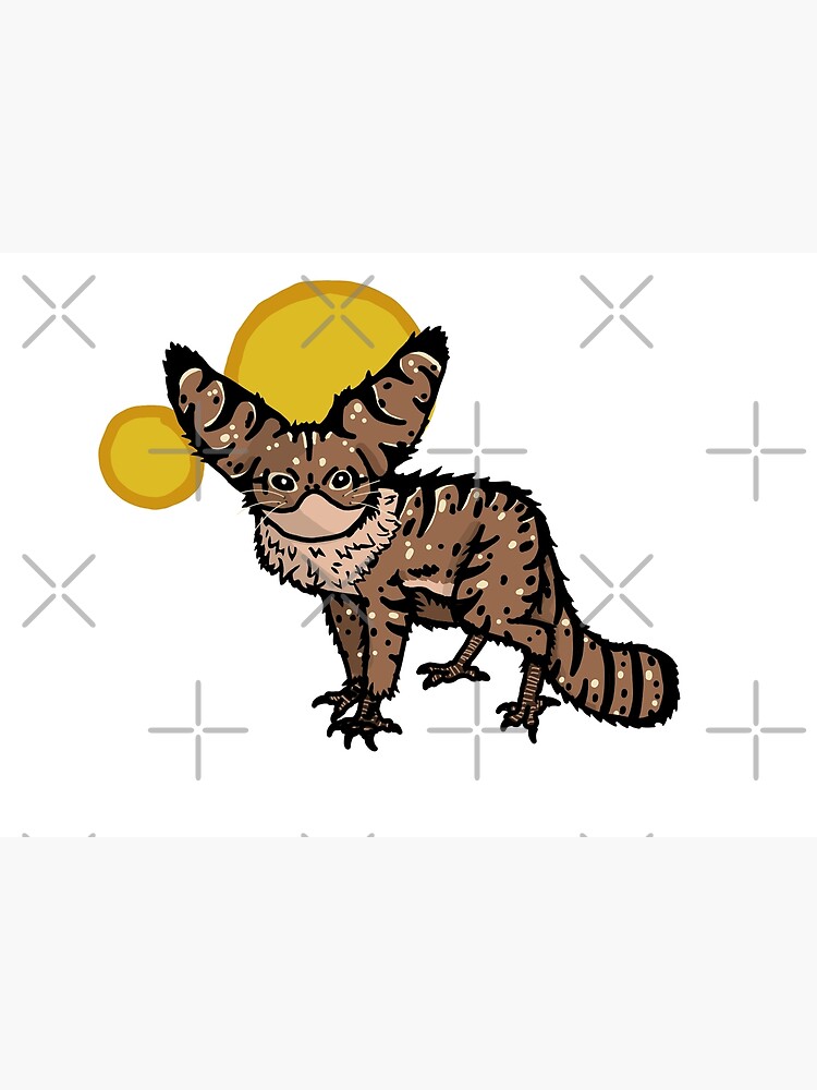 "Loth Cat Sunrise" Poster for Sale by maddyspindler | Redbubble