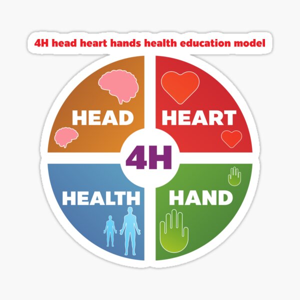 "4H head heart hands health thai education learning model" Sticker for ...