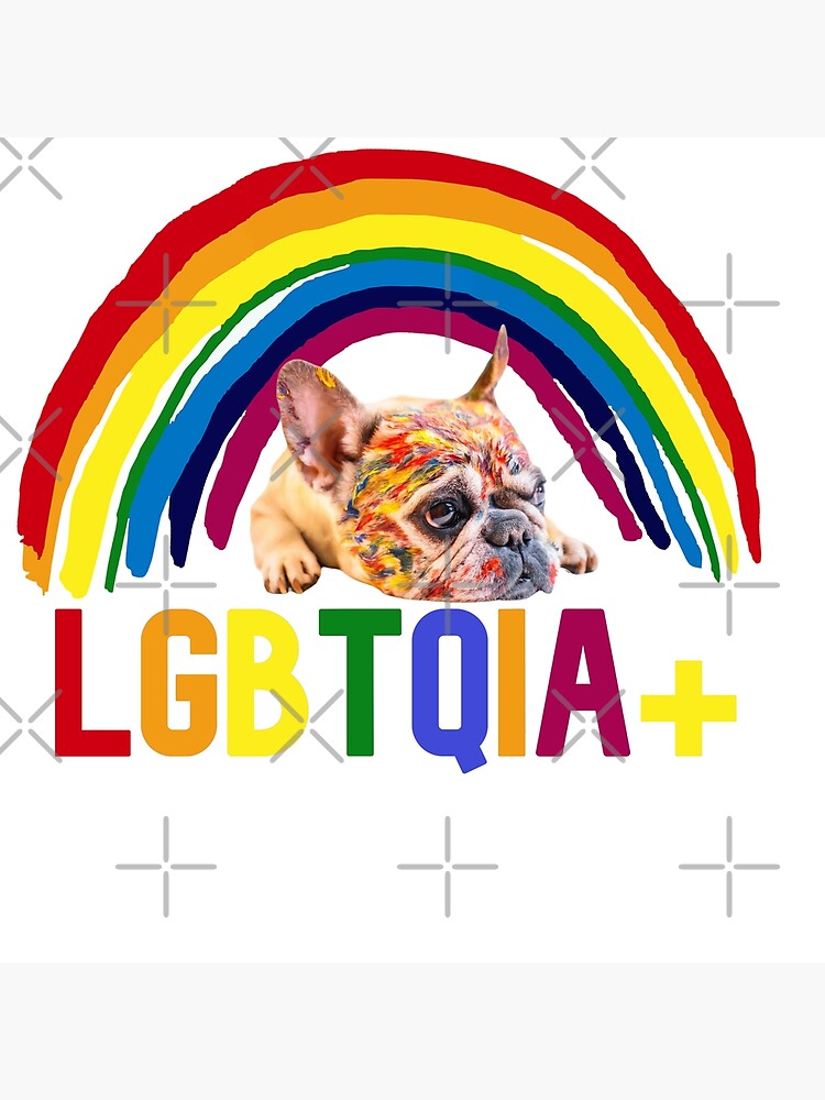 "A Pride Coloured Rainbow with a Dog, Gift for The LGBTQIA+ Community ...