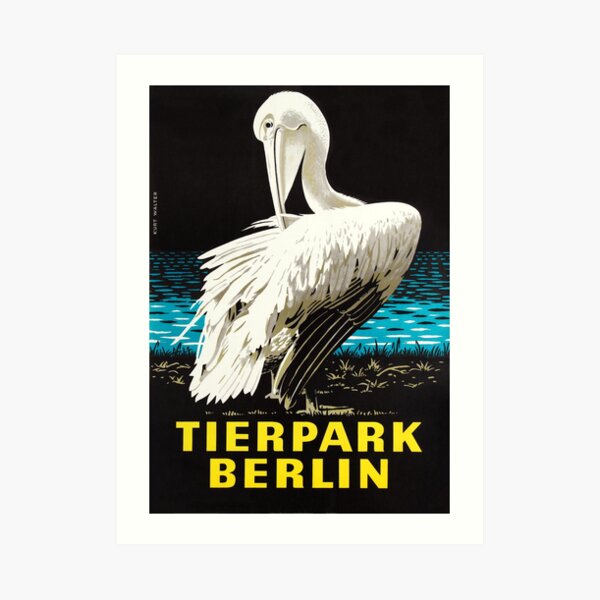 "TIERPARK BERLIN GERMANY ZOO Pelican Bird 1978 Vintage Tourism ...