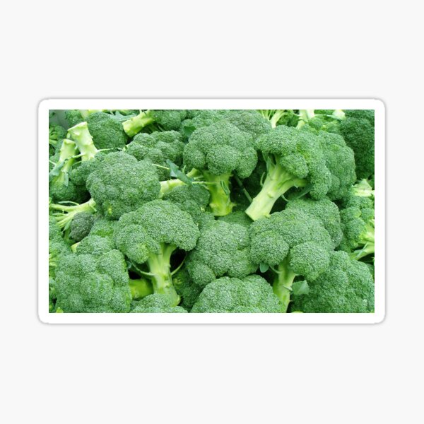 "Broccoli" Sticker by wildserenity | Redbubble
