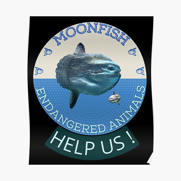 " Moonfish" Poster for Sale by yassooarts | Redbubble
