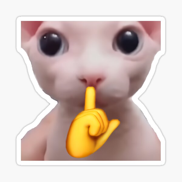 "HD Bingus Shushing Cat Face Meme " Sticker for Sale by fomodesigns ...