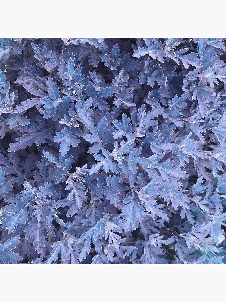 "Mum Leaves Blue Filter" Poster for Sale by SunshineWalker | Redbubble