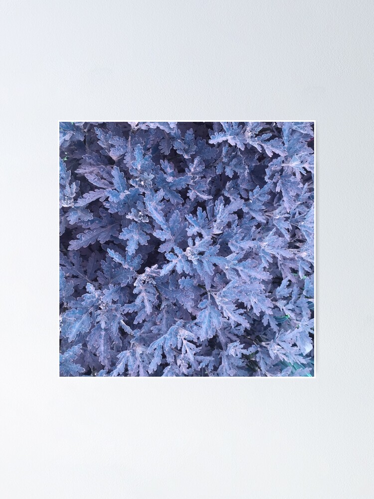 "Mum Leaves Blue Filter" Poster for Sale by SunshineWalker | Redbubble