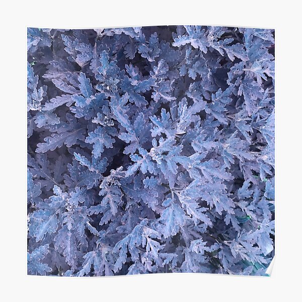 "Mum Leaves Blue Filter" Poster for Sale by SunshineWalker | Redbubble