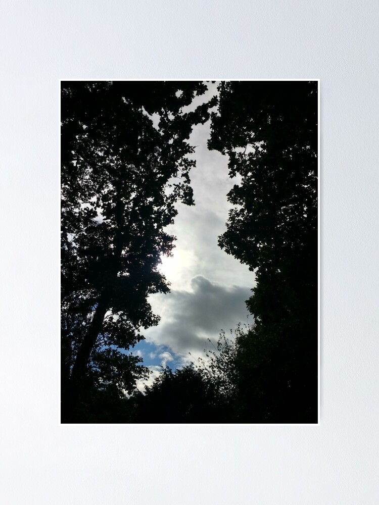 Póster «MI. #234 |☽| Cielo nublado sobre los árboles - Toma de retrato ...