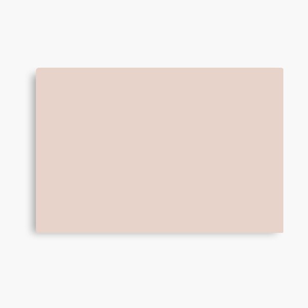 "Ultra Pale Beige Solid Color Pairs PPG Boardwalk PPG1067-2 - All One ...