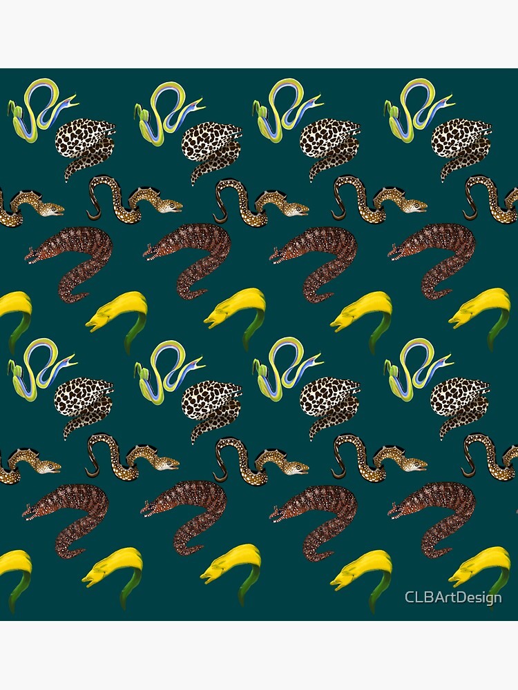 "Eels" Sticker for Sale by CLBArtDesign | Redbubble