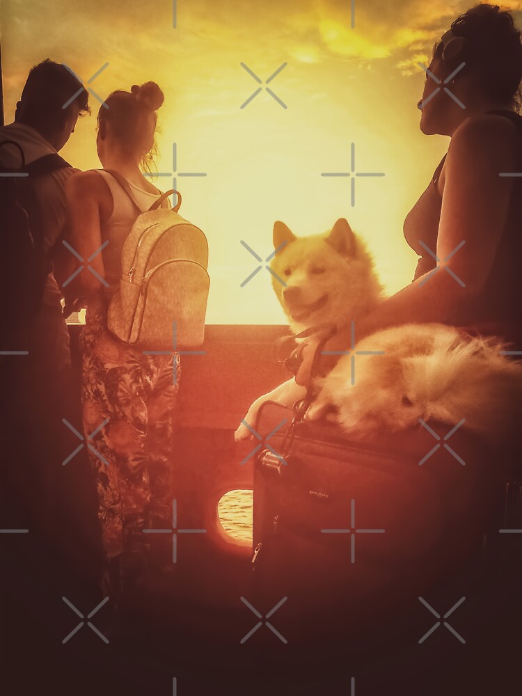 "Staten Island Ferry, NYC" Sticker for Sale by eleonoraingrid | Redbubble