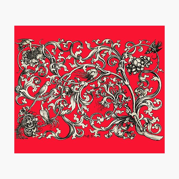 Lámina fotográfica «PÁJAROS Y LOROS FANTÁSTICOS ENTRE REMOLINOS DE ...