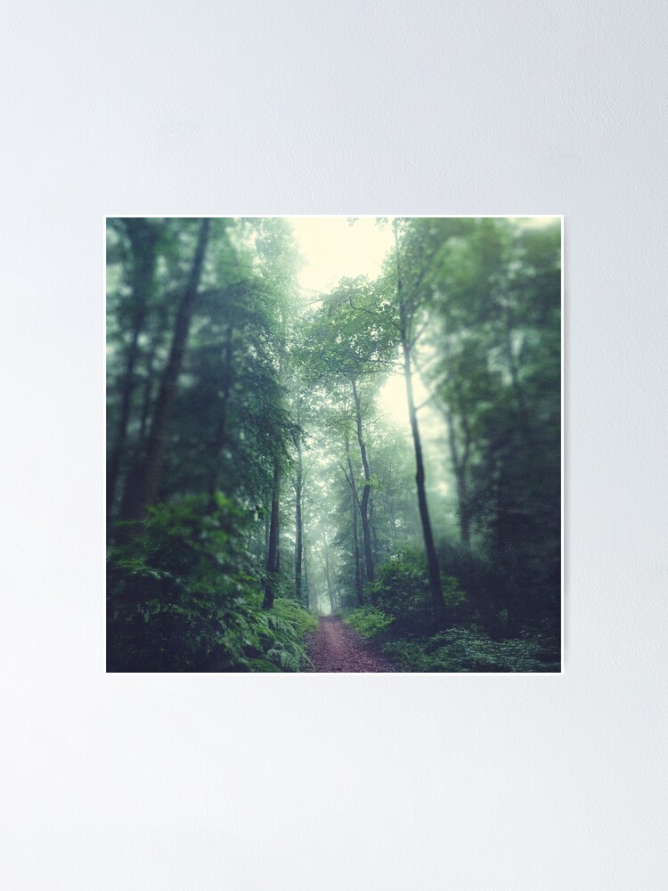 "Forest Path" Poster for Sale by DyrkWyst | Redbubble