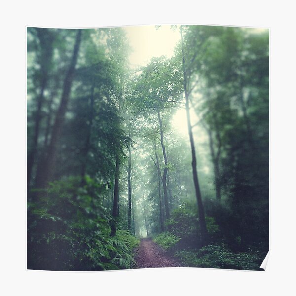 "Forest Path" Poster for Sale by DyrkWyst | Redbubble
