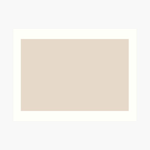 "Warm Pinkish Off White Solid Color Pairs PPG Malted Milk PPG1073-2 ...