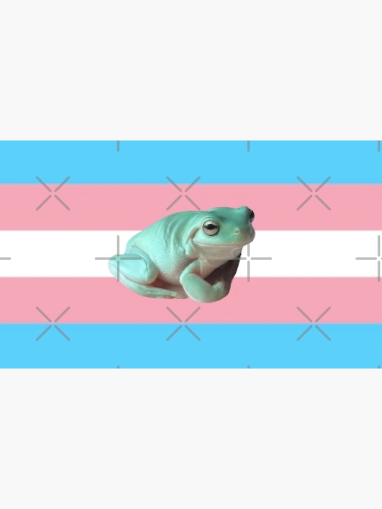 "Transgender frog pride" Poster for Sale by CroatoanCrisis | Redbubble