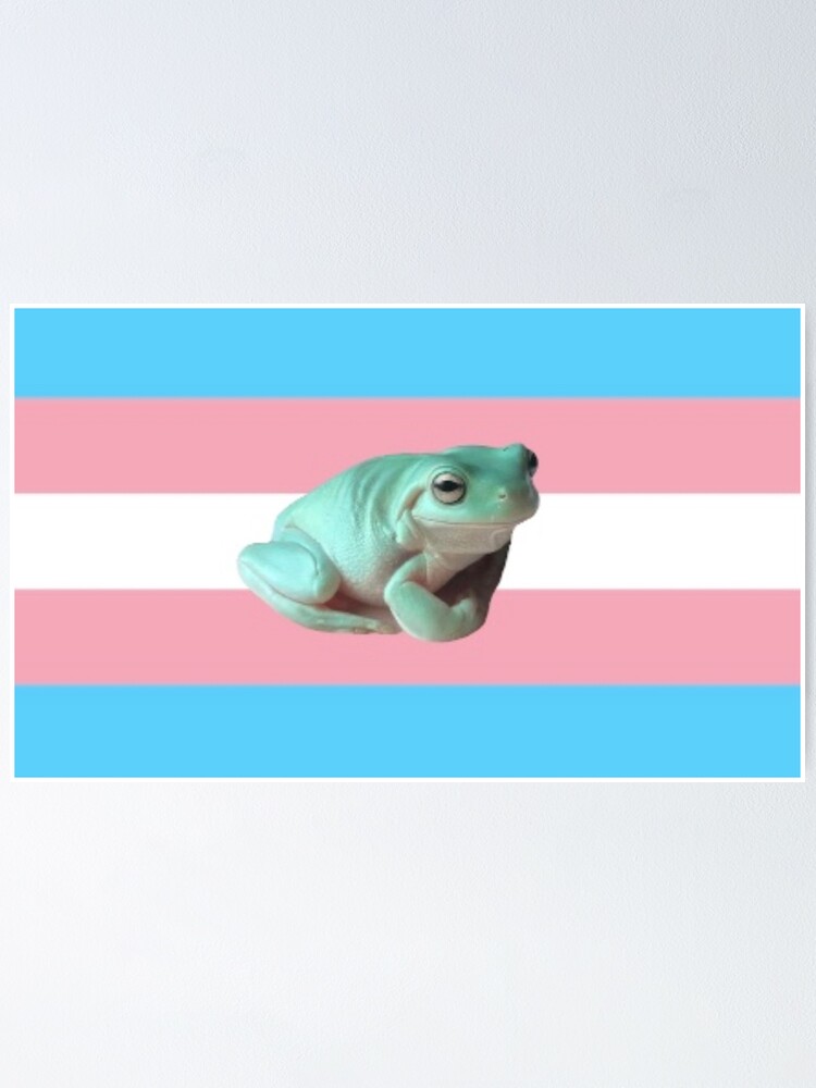 "Transgender frog pride" Poster for Sale by CroatoanCrisis | Redbubble