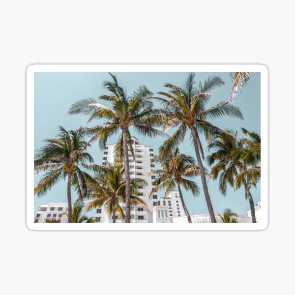 "Miami Beach, Florida, Palm Trees" Sticker for Sale by newburyboutique ...