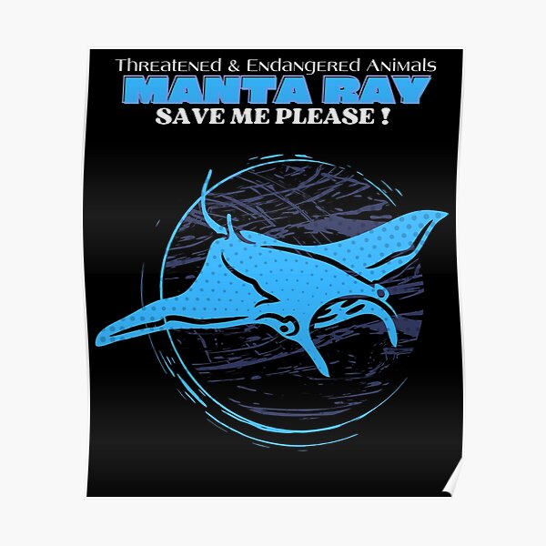 " Manta Ray" Poster for Sale by yassooarts | Redbubble