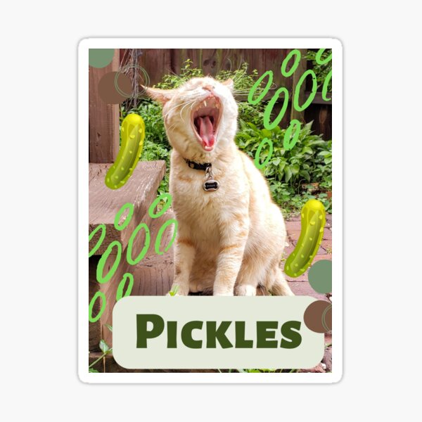"Pickles the cat" Sticker for Sale by AuroraJsDesign | Redbubble