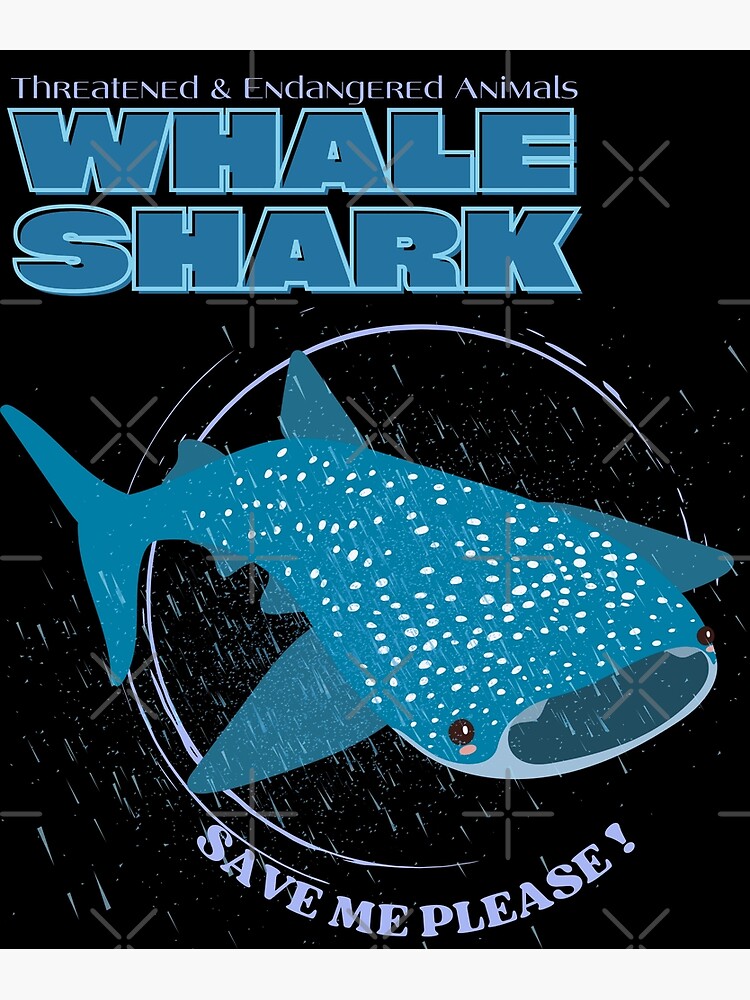 "Whale Shark" Poster for Sale by yassooarts | Redbubble