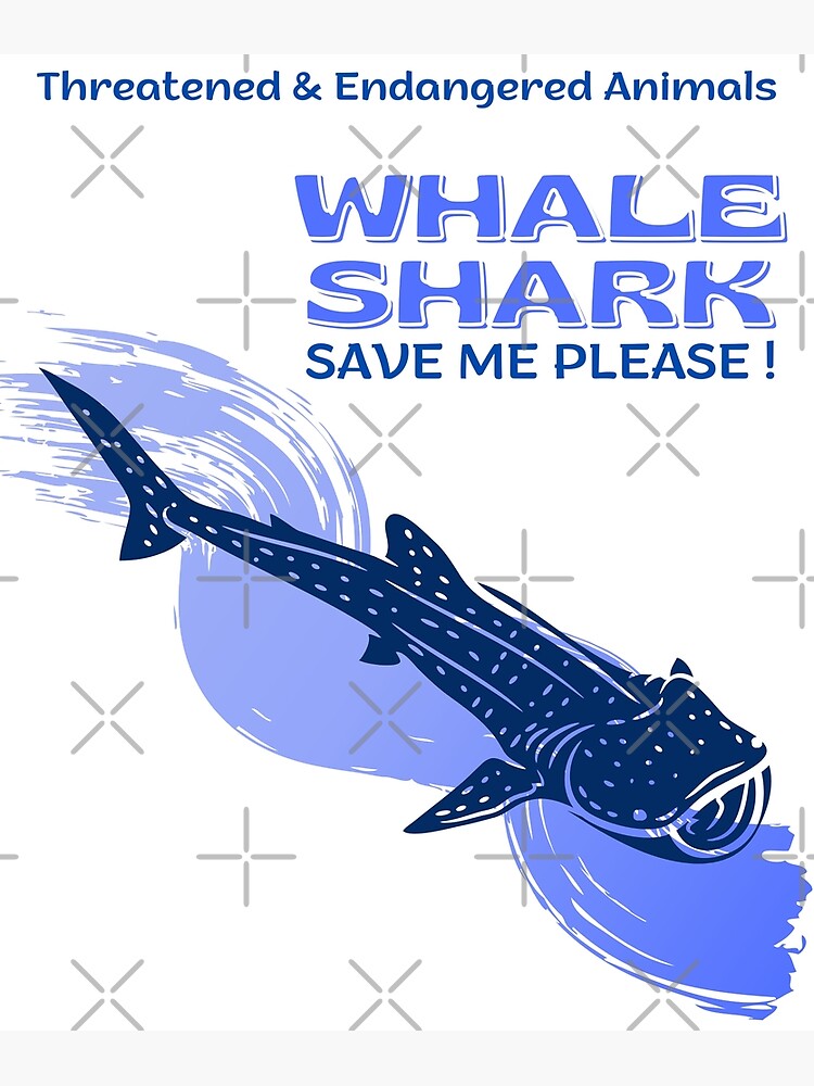 "Whale Shark" Poster for Sale by yassooarts | Redbubble